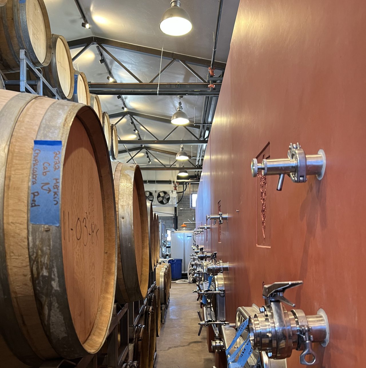 Merkin Vineyards @ Old Town Cottonwood | Architect Clarkdale AZ