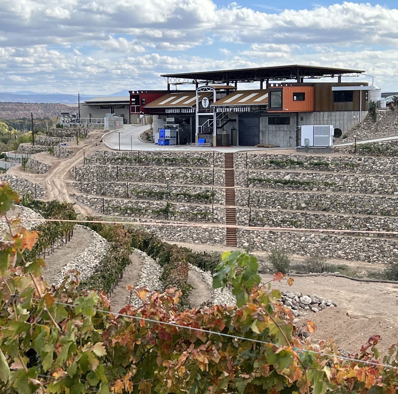 Merkin Vineyards @ Old Town Cottonwood | Architect Clarkdale AZ